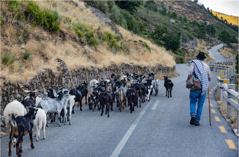ΠιστοποιοÜμε Βιολογικά: Πρόγραμμα Επιδότησης για τη Βιολογική ...
